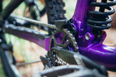 Marin Quake | Ultimate Bike Park & DH Bike | Essential Cycles